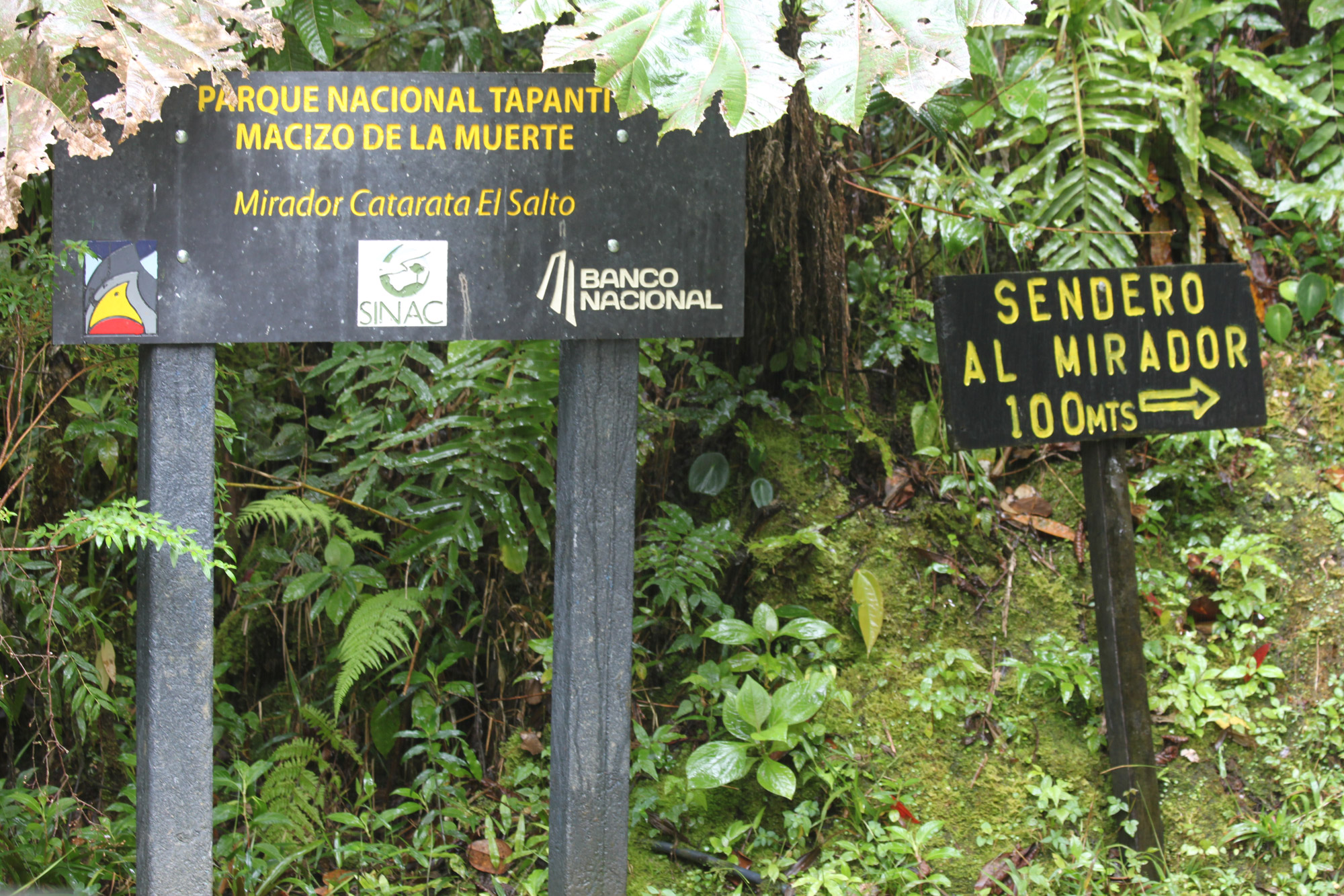 Parque Nacional Tapanti Macizo de la Muerte - Costa Rica - Reizen ...