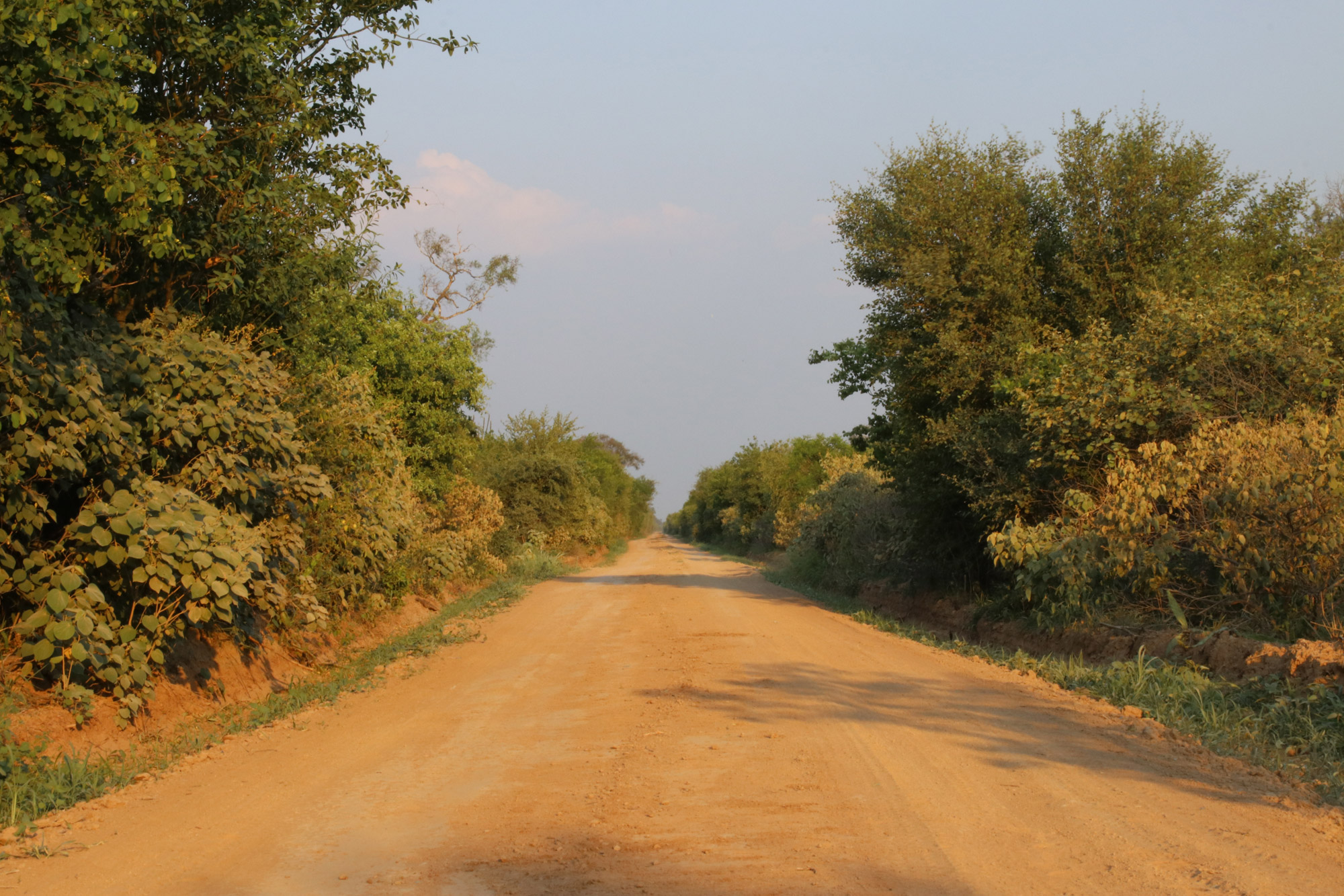 Parque Nacional Gran Chaco del Kaa-Iya in Bolivia