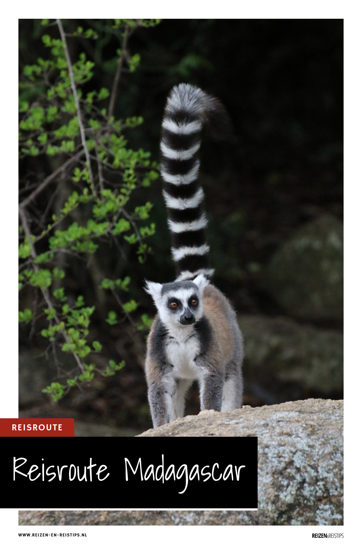 Reisroute Madagascar - Rondreis van 24 dagen