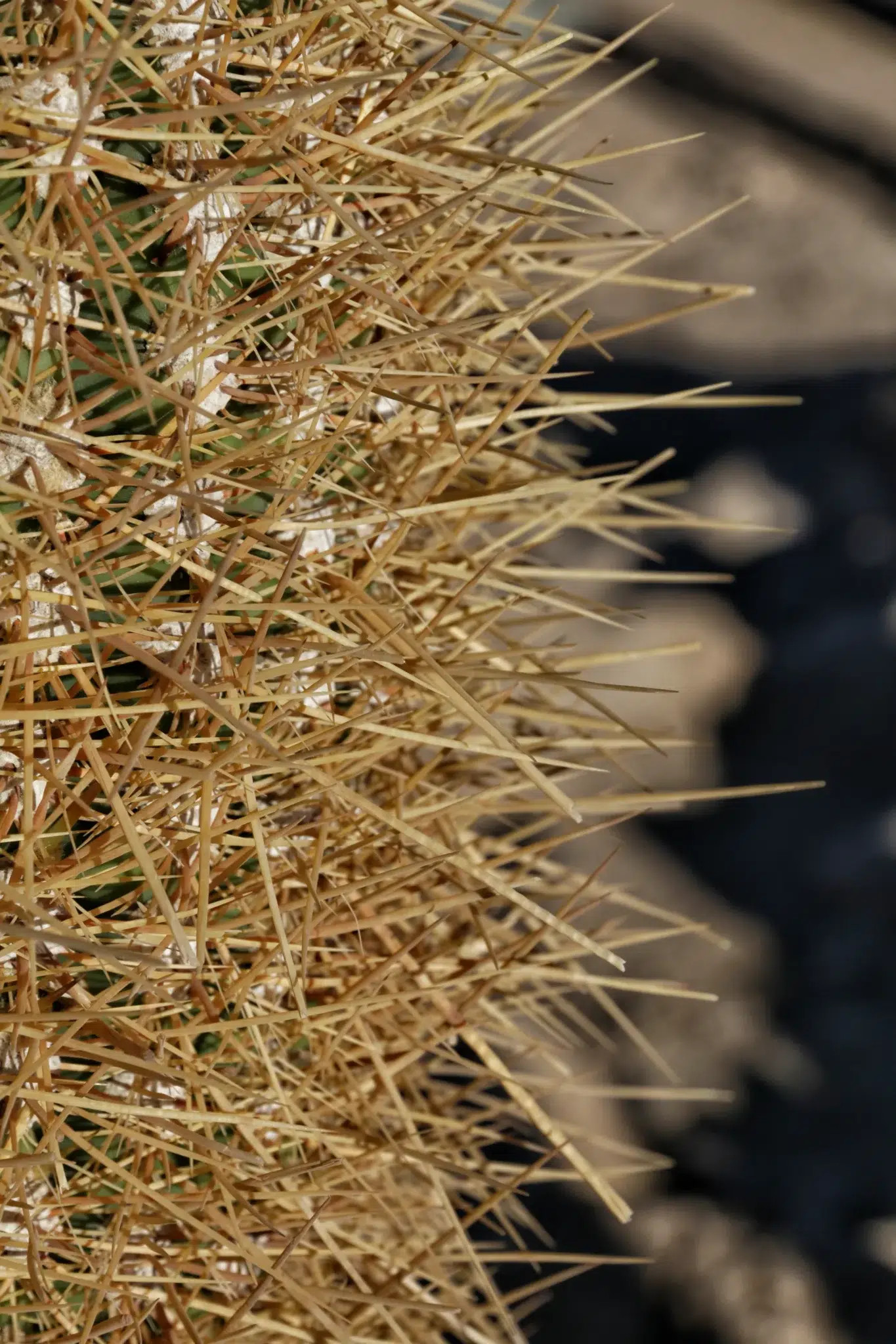 Salar de Uyuni tour in Bolivia: complete gids en mijn ervaring