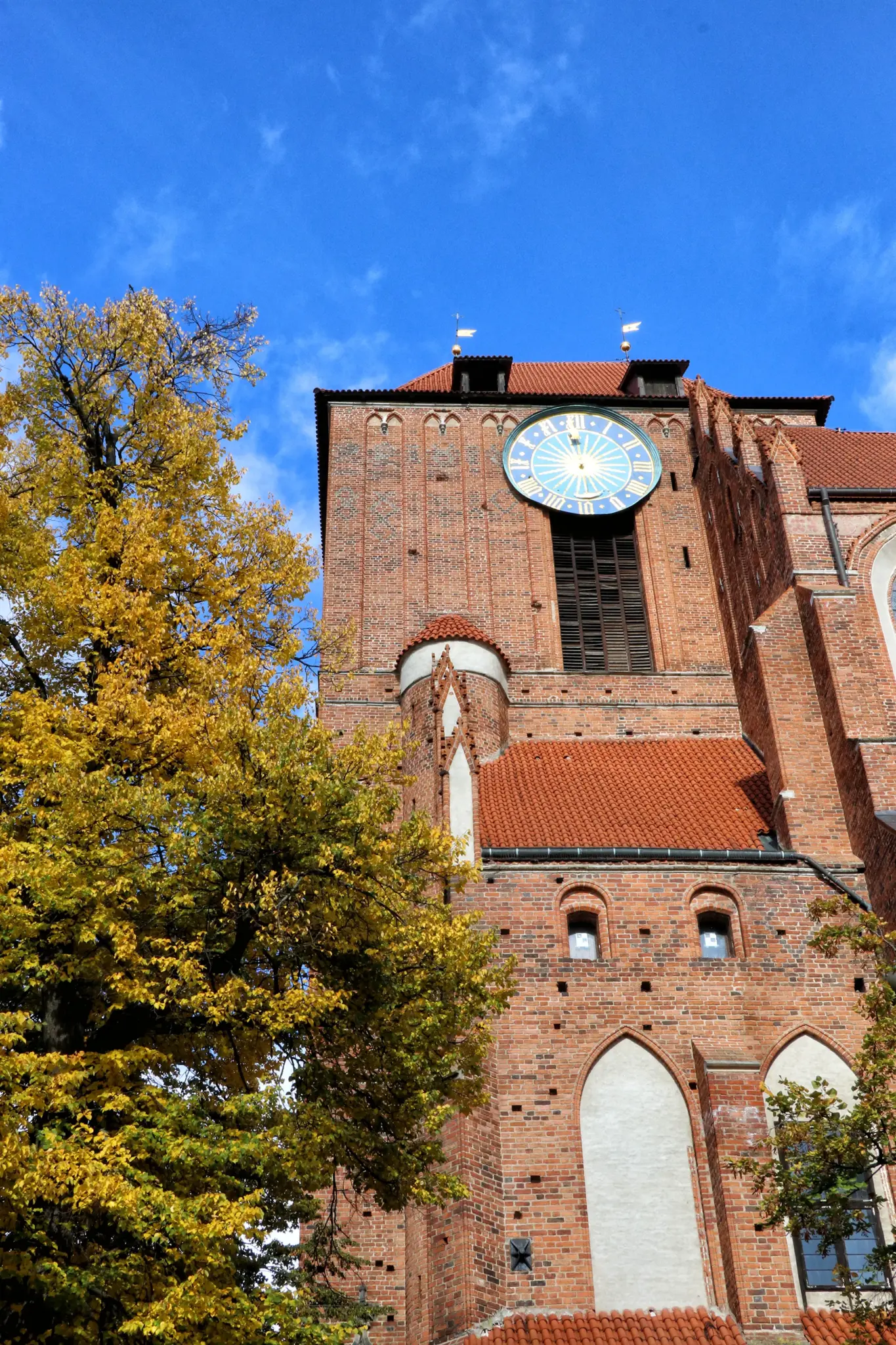 Dagje Toruń in Polen: wat te doen, bezienswaardigheden en tips