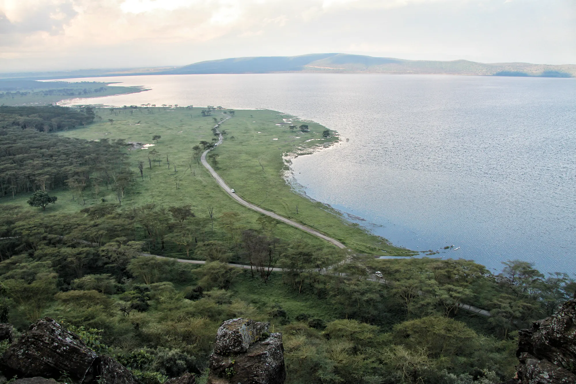 Lake Nakuru National Park in Kenya: safari & animals