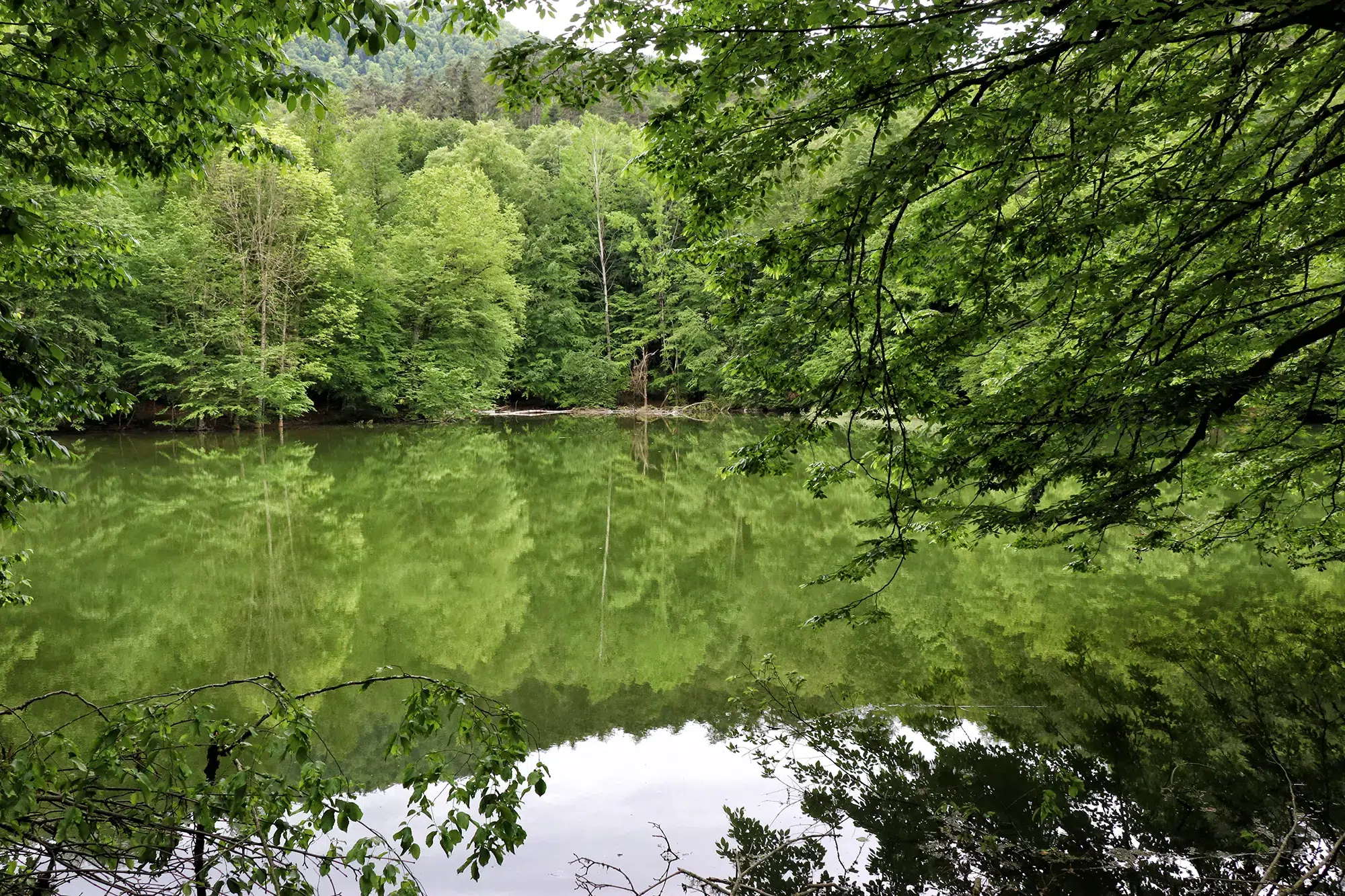Yedigöller National Park: Seven Lakes in Turkey