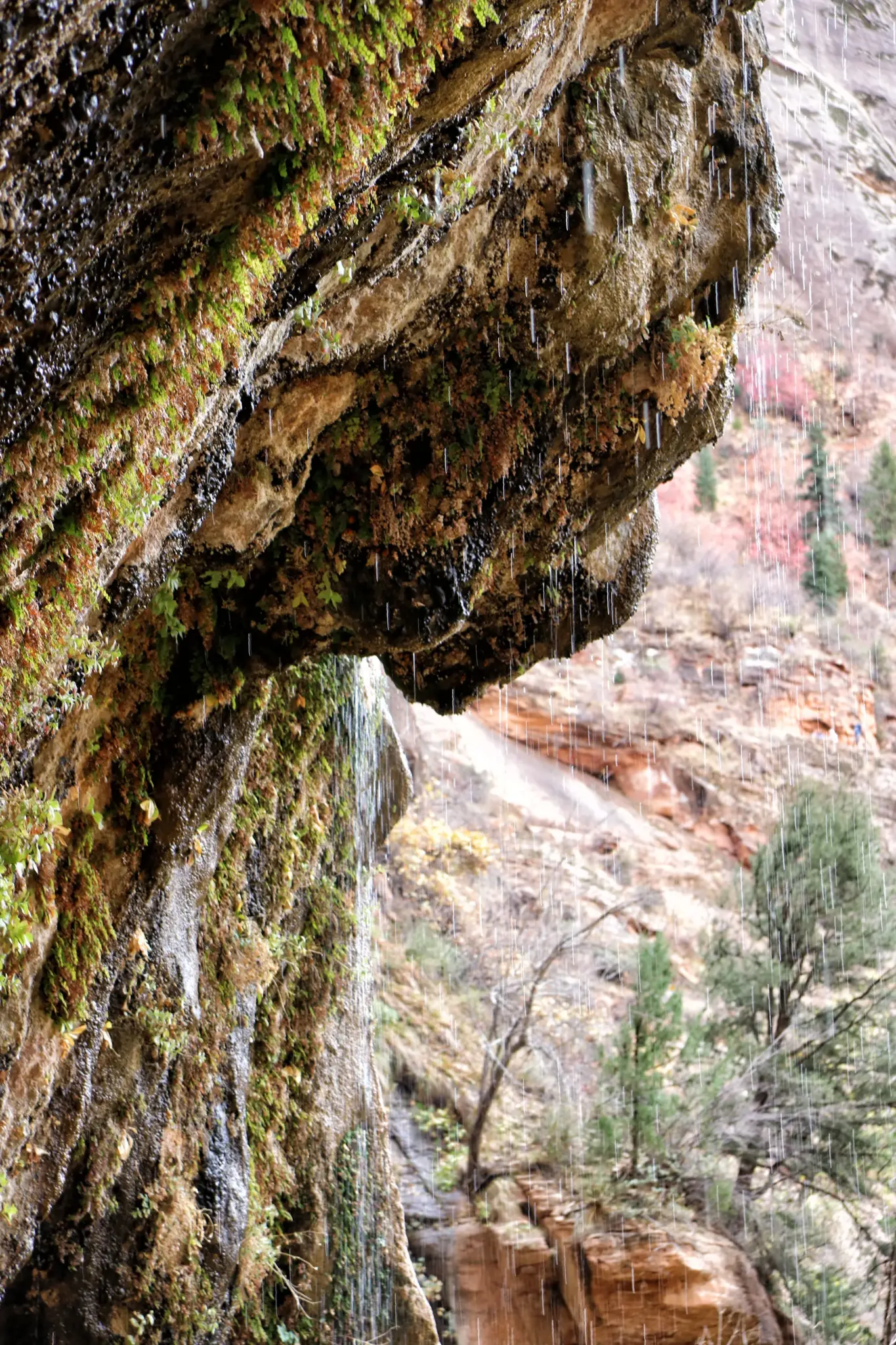Nacionalni park Zion: savjeti, planinarske ture i praktične informacije